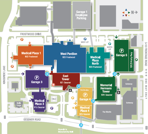 Patient Centered Neurology at Mischer Neuroscience Associates ...