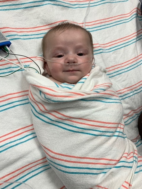 Ryder’s story: Our Son’s Courageous Heart Journey After HLHS Diagnosis ...